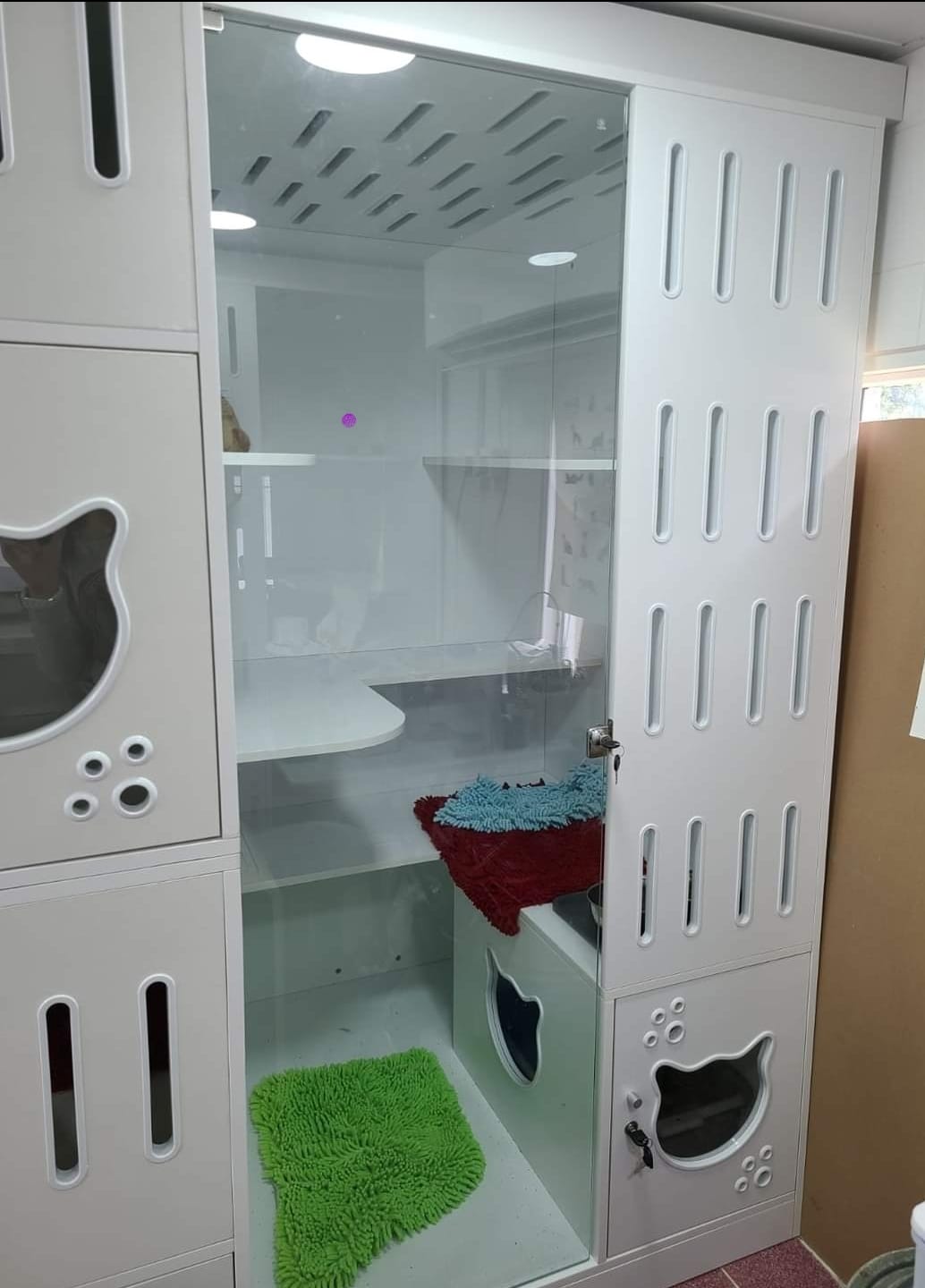 Top Pet Boarding Service in Hong Kong: Pleasant Stay for Pet
