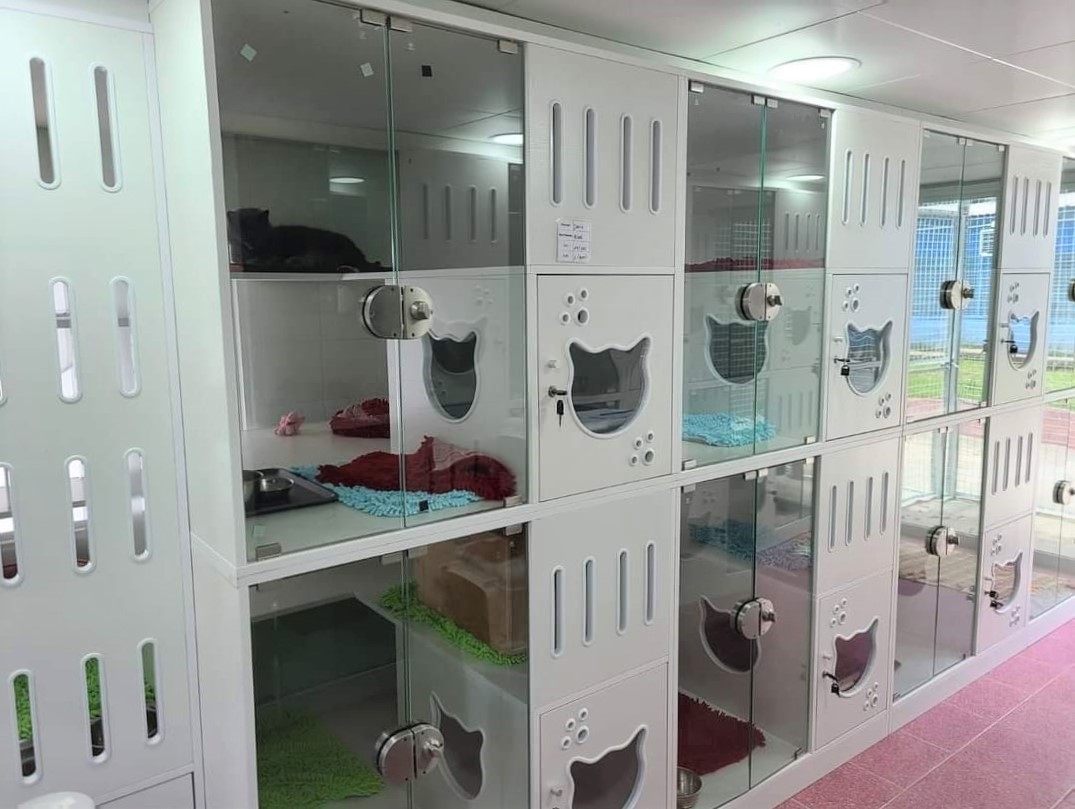 Advantages Of Boarding Pets At Ferndale Kennels & Cattery