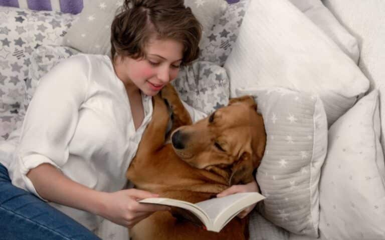 Essential Tips & Requirements for Pet Quarantine in Australia