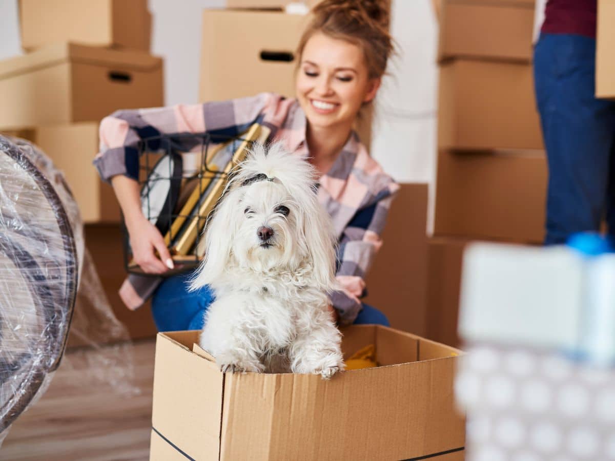 Everything You Need to Know About Moving Pets to The EU from Singapore